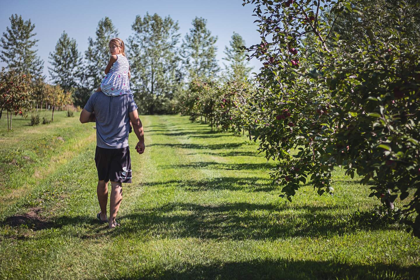 Bécancour — Place aux jeunes en région